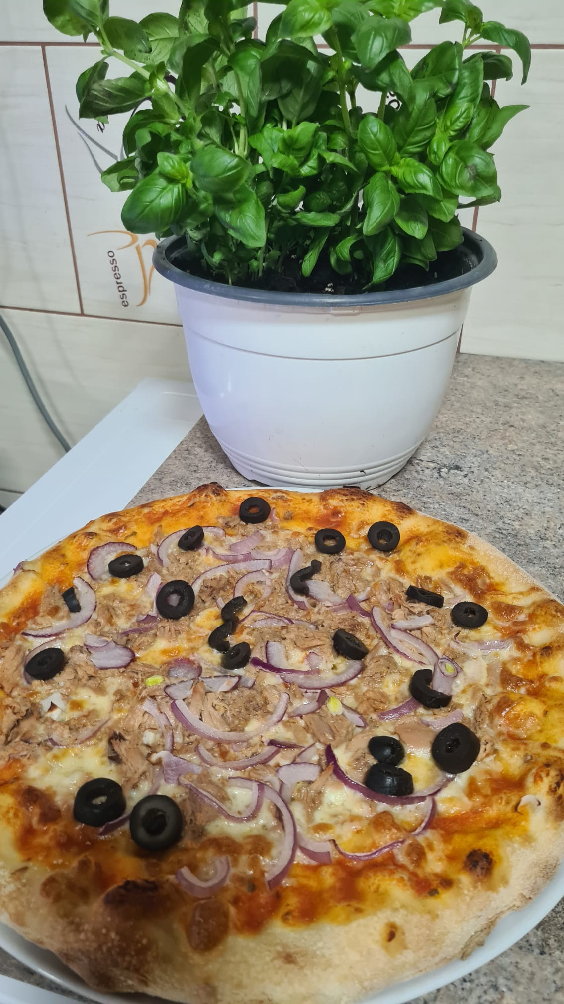 Pizza cu ton – Champions